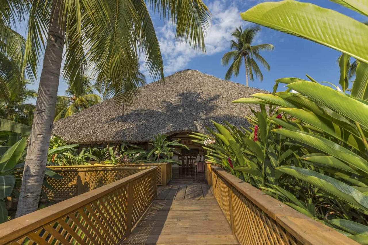 Guatemala Fly Fishing - Central America Fishing