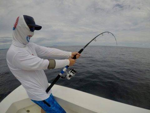 Tuna Fishing in Panama - Ultimate Guide to Panama Tuna Fishing ...
