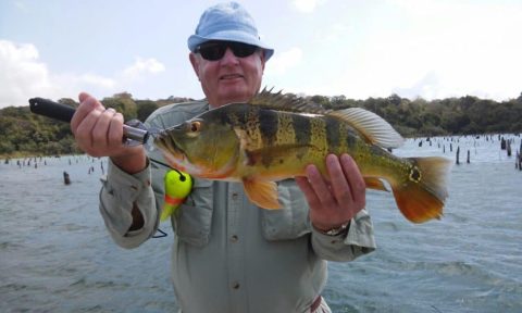 Peacock Bass Fishing in Panama - Central America Fishing