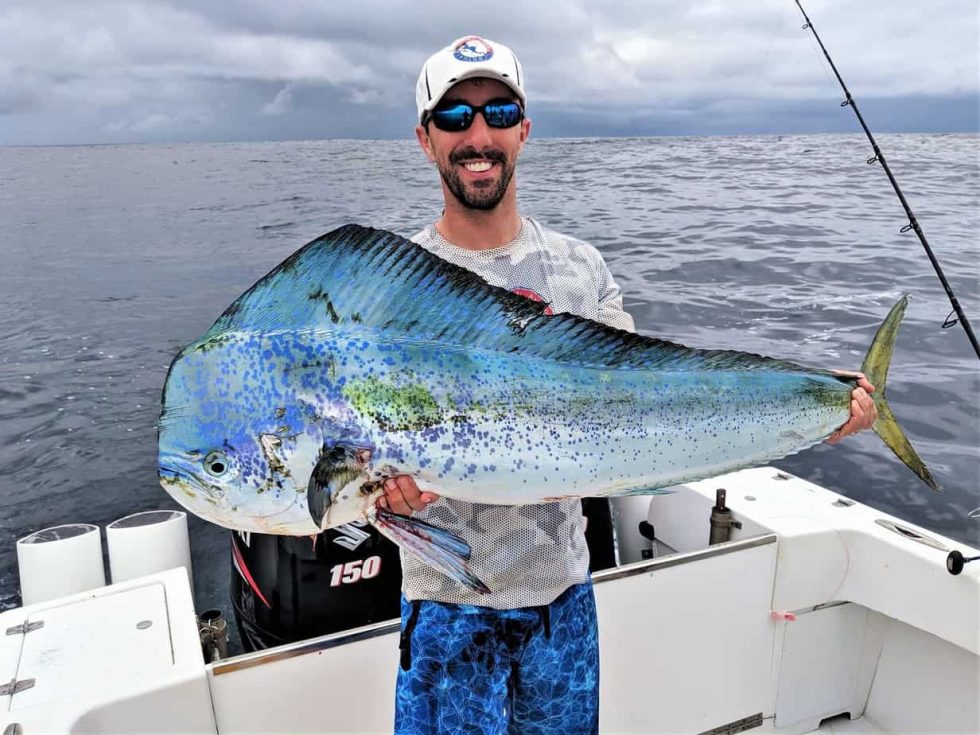 Dorado (Mahi-Mahi) | Central America Fishing
