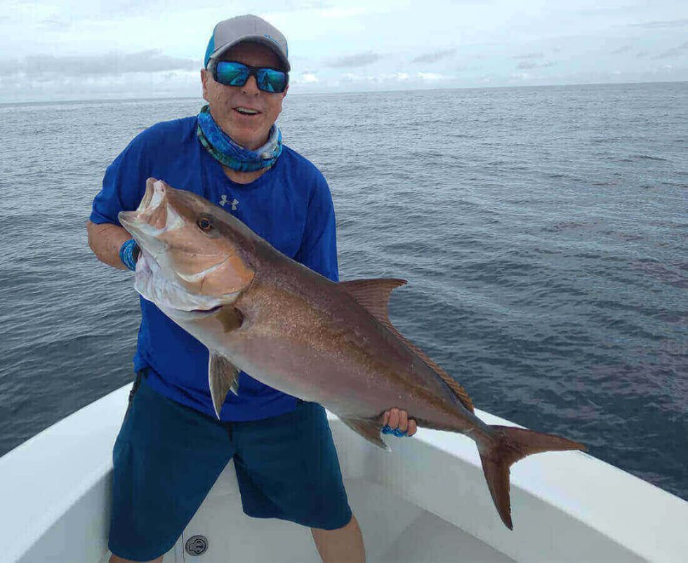 Amberjack Fish | Central America Fishing