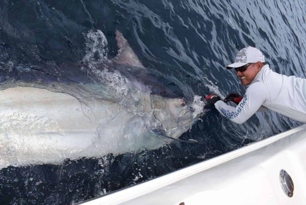 Fishing the Hannibal Bank - Central America Fishing