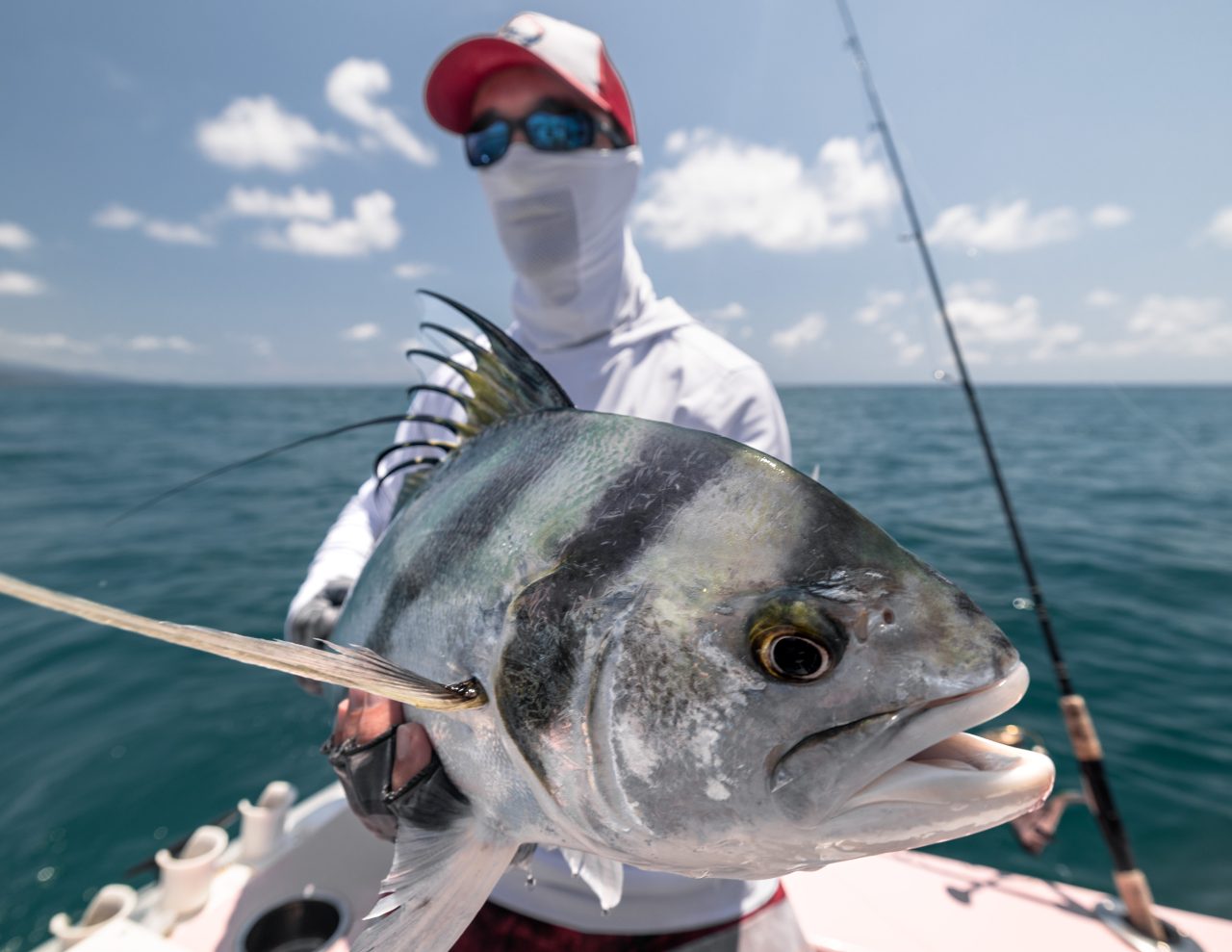 Roosterfish in Central America | Species Guide