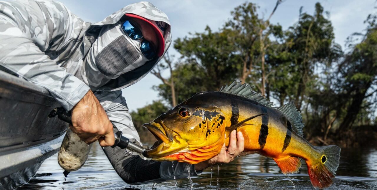 Brazil Fishing Vacation | Peacock Bass Fishing in Brazil - Central ...