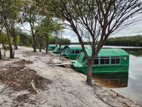Brazil Fishing Vacation | Peacock Bass Fishing in Brazil - Central ...