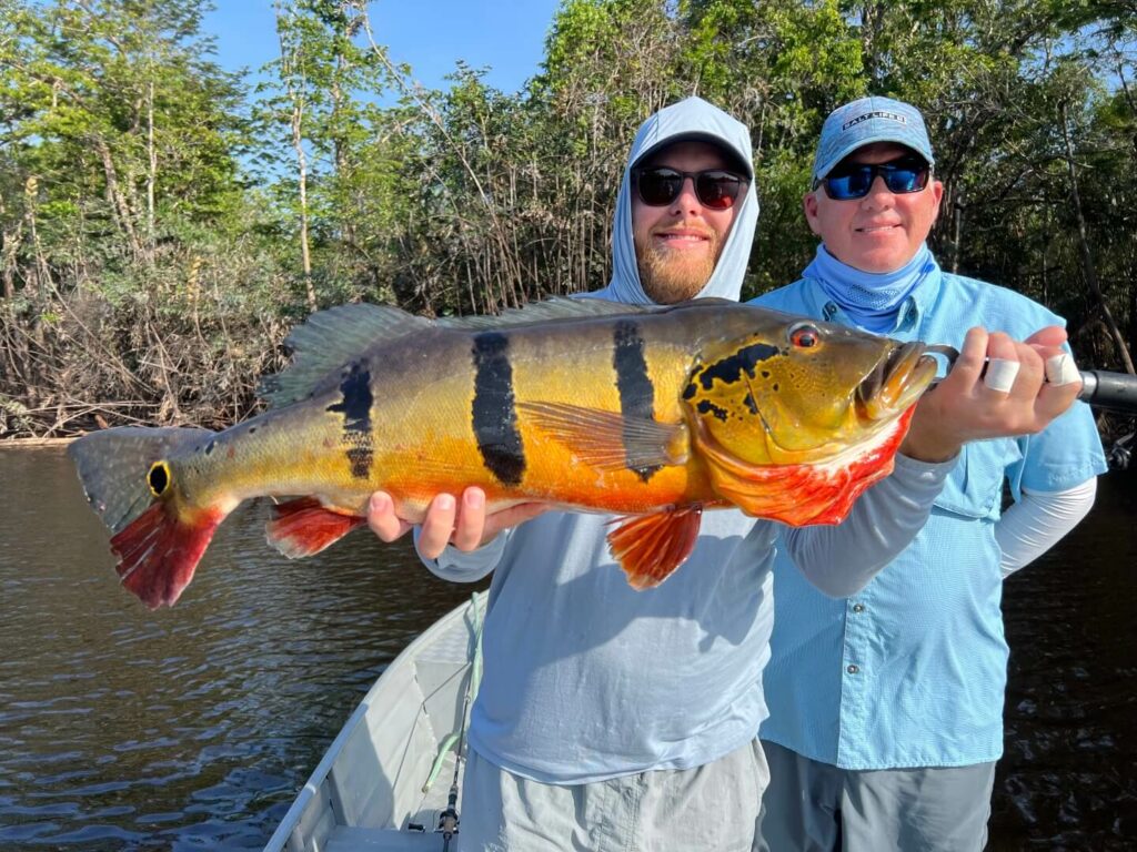 Brazil Fishing Vacation | Peacock Bass Fishing in Brazil - Central ...