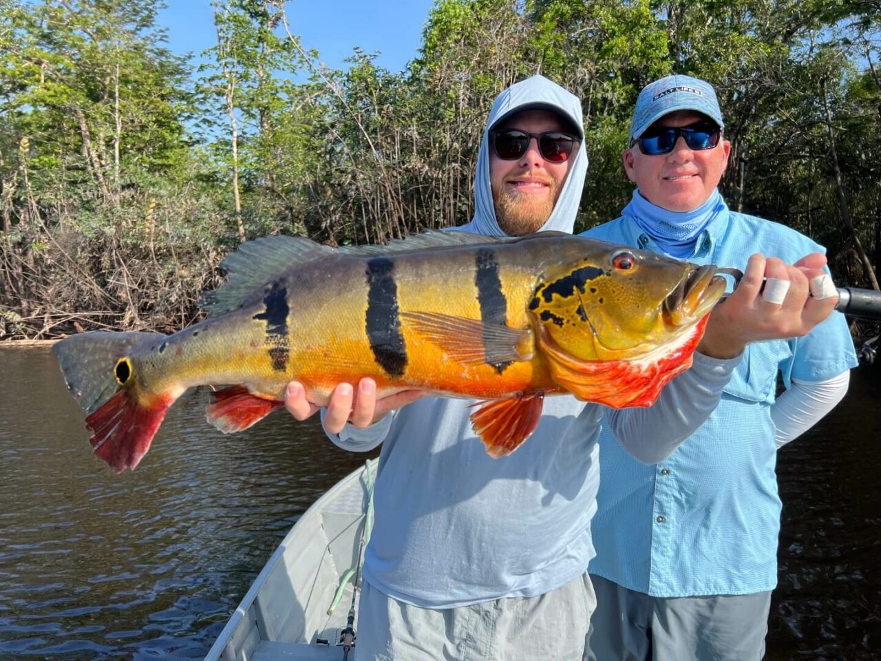 Brazil Fishing Vacation | Peacock Bass Fishing in Brazil - Central ...