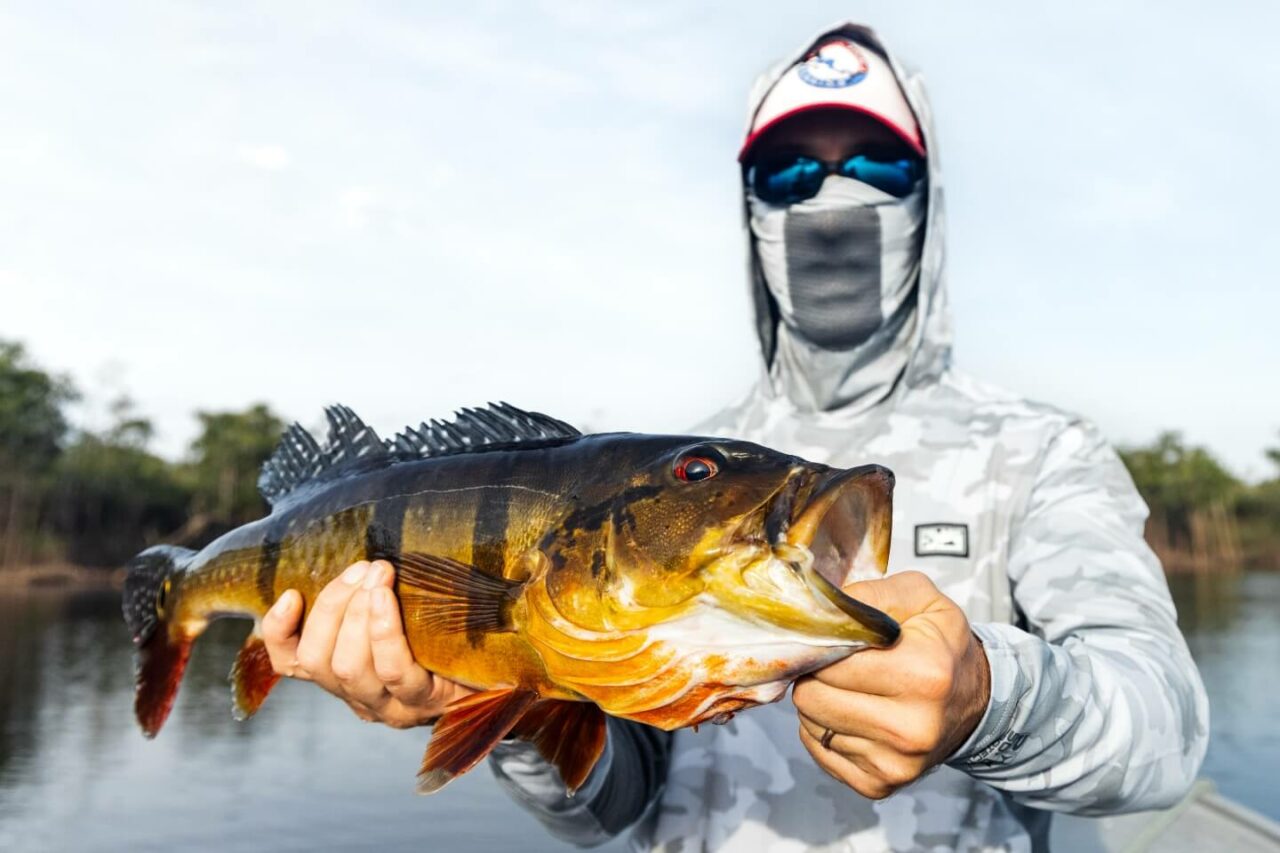 Brazil Fishing Vacation | Peacock Bass Fishing in Brazil - Central ...