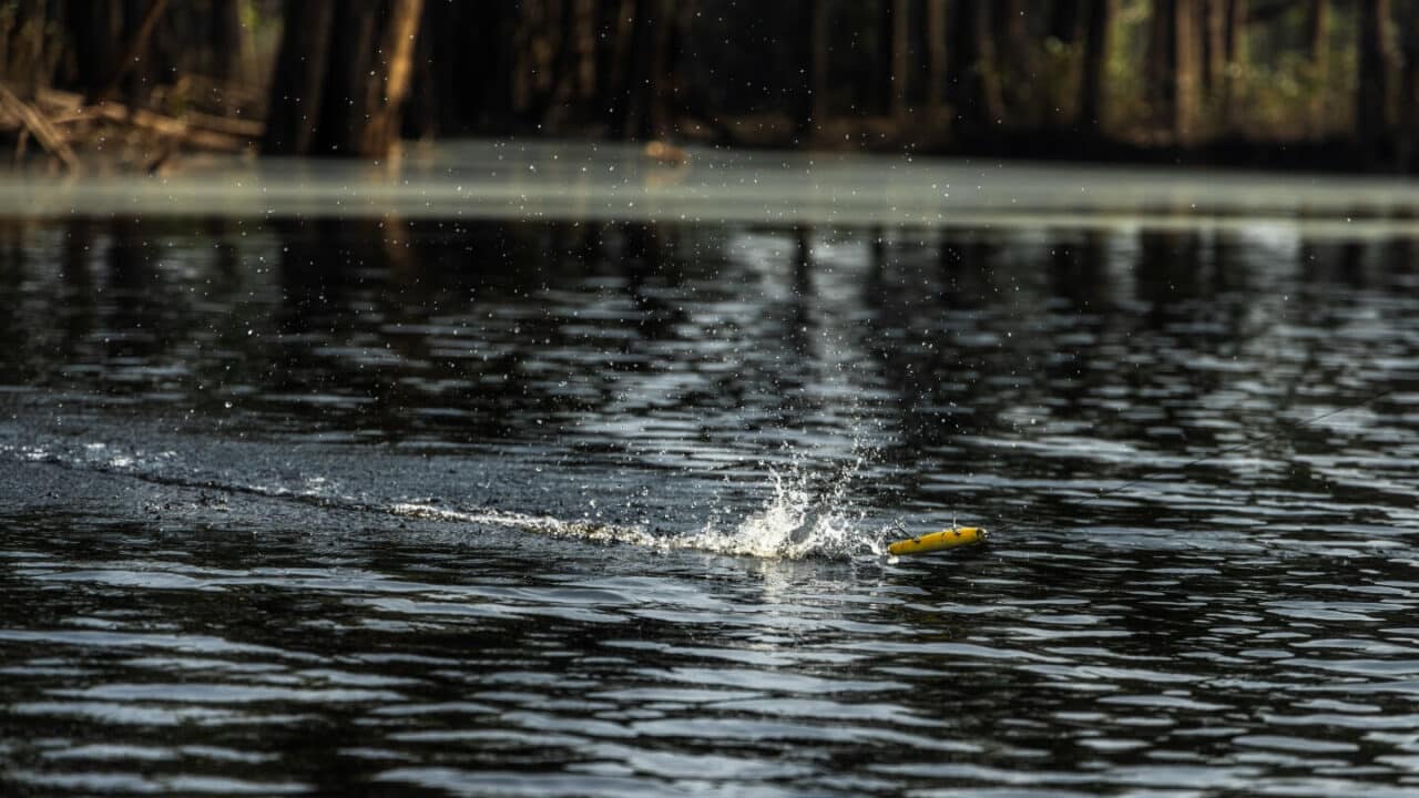 Brazil Fishing Vacation | Peacock Bass Fishing in Brazil - Central ...