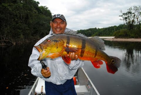 Brazil Fishing Vacation | Peacock Bass Fishing in Brazil - Central ...