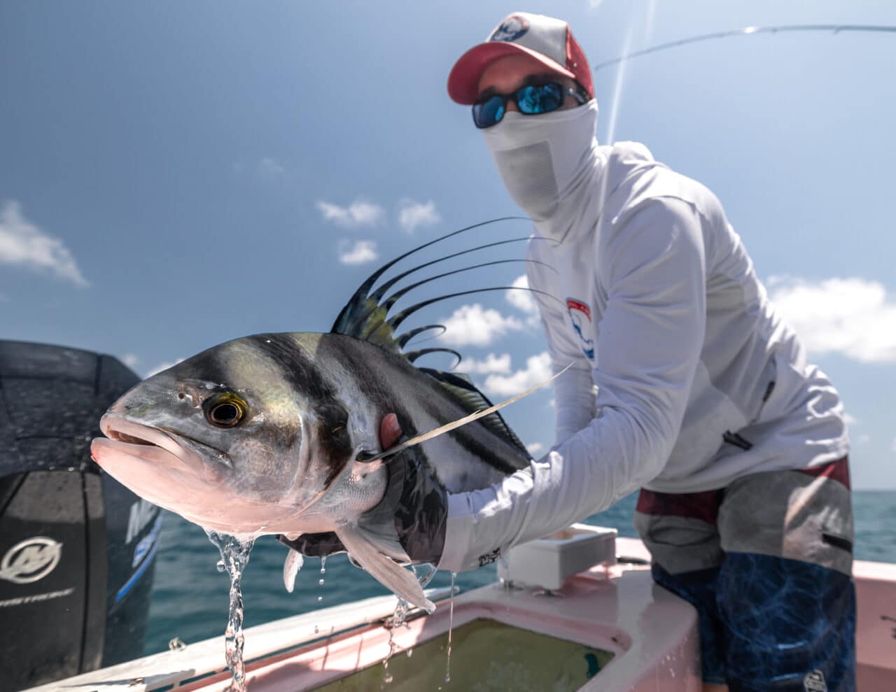 Roosterfish in Central America | Species Guide