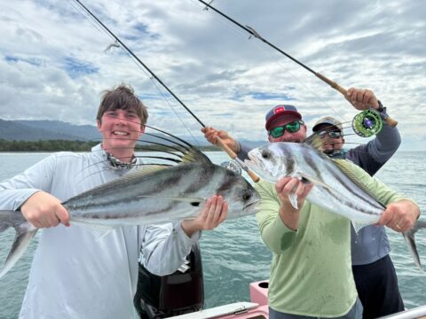 Roosterfish in Central America | Species Guide